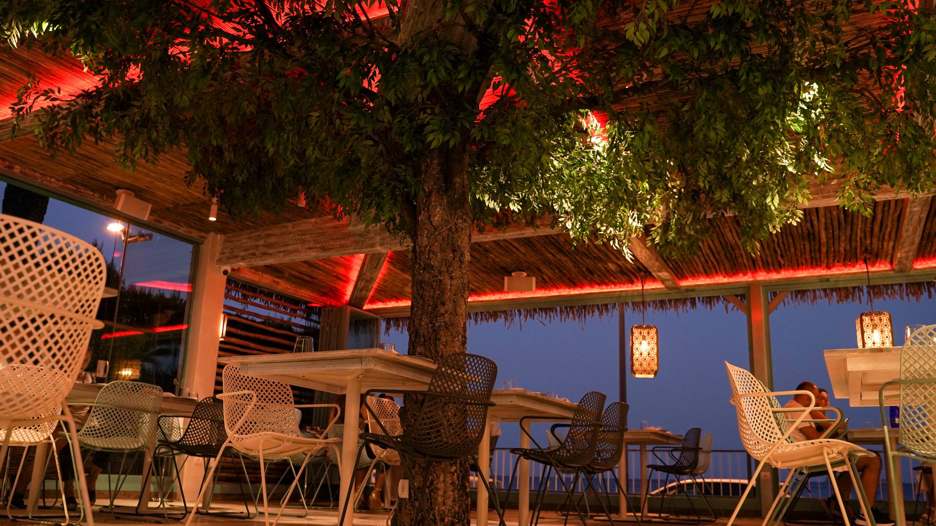 Top 5 Restaurants to Visit in Benidorm | Spain Life Exclusive