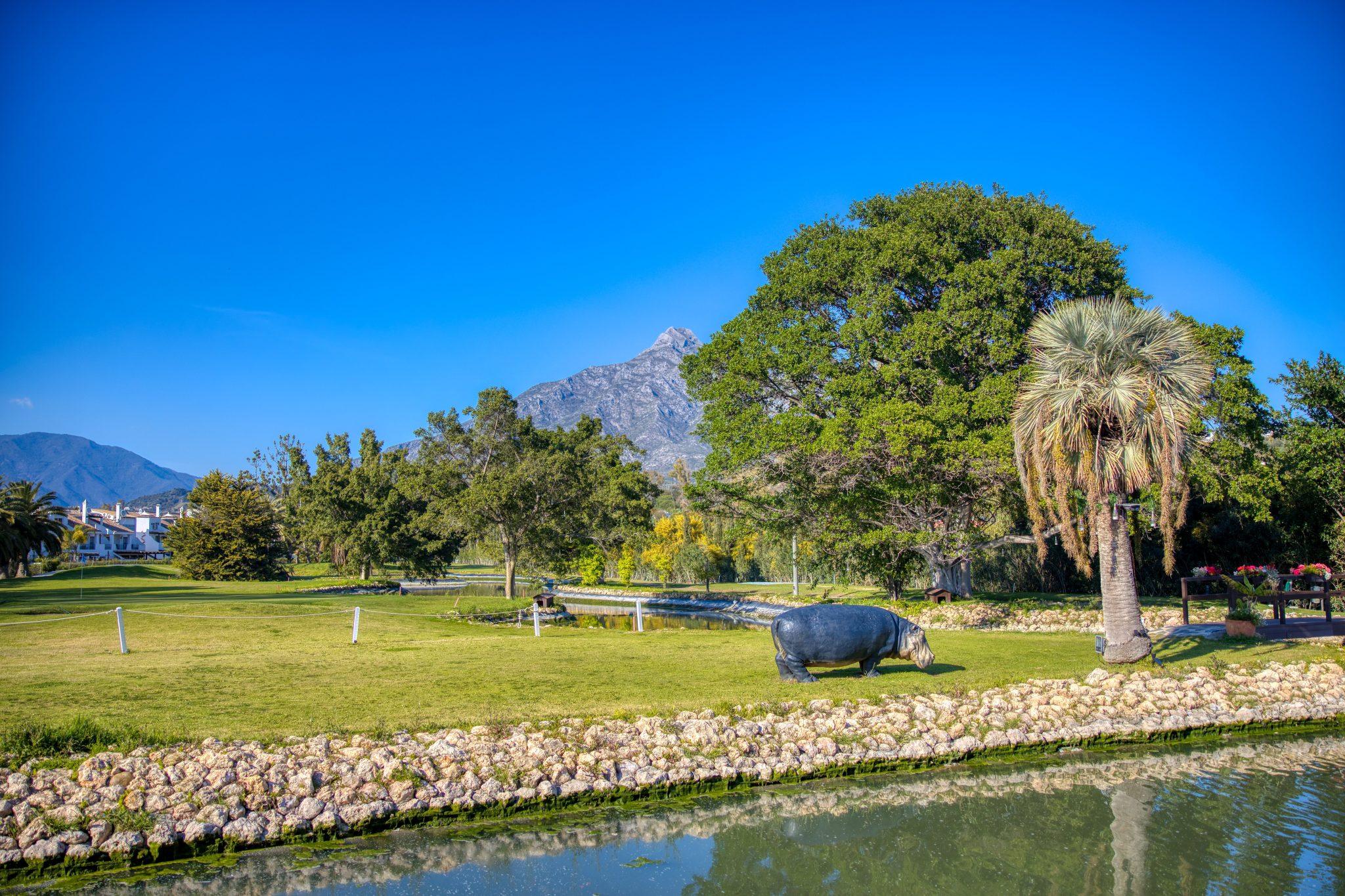 Divot Gastro: Cutting-Edge Gastronomy in the Enchanting Setting of ...