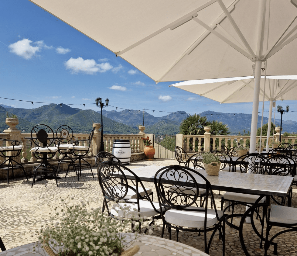 Culinary Heights: Dining with Spectacular Views in Jalon Valley - Spain ...